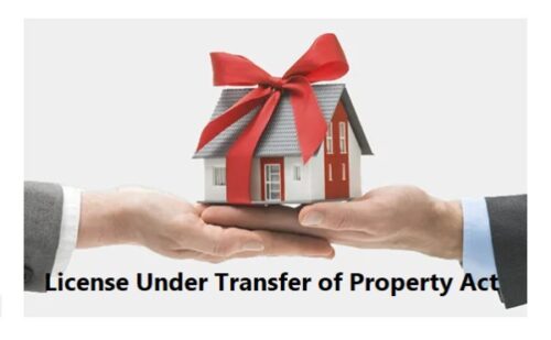 License Meaning Essential Types Advantage And Disadvantage Under TP license-meaning-essential-types-advantage-and-disadvantage-under-tp